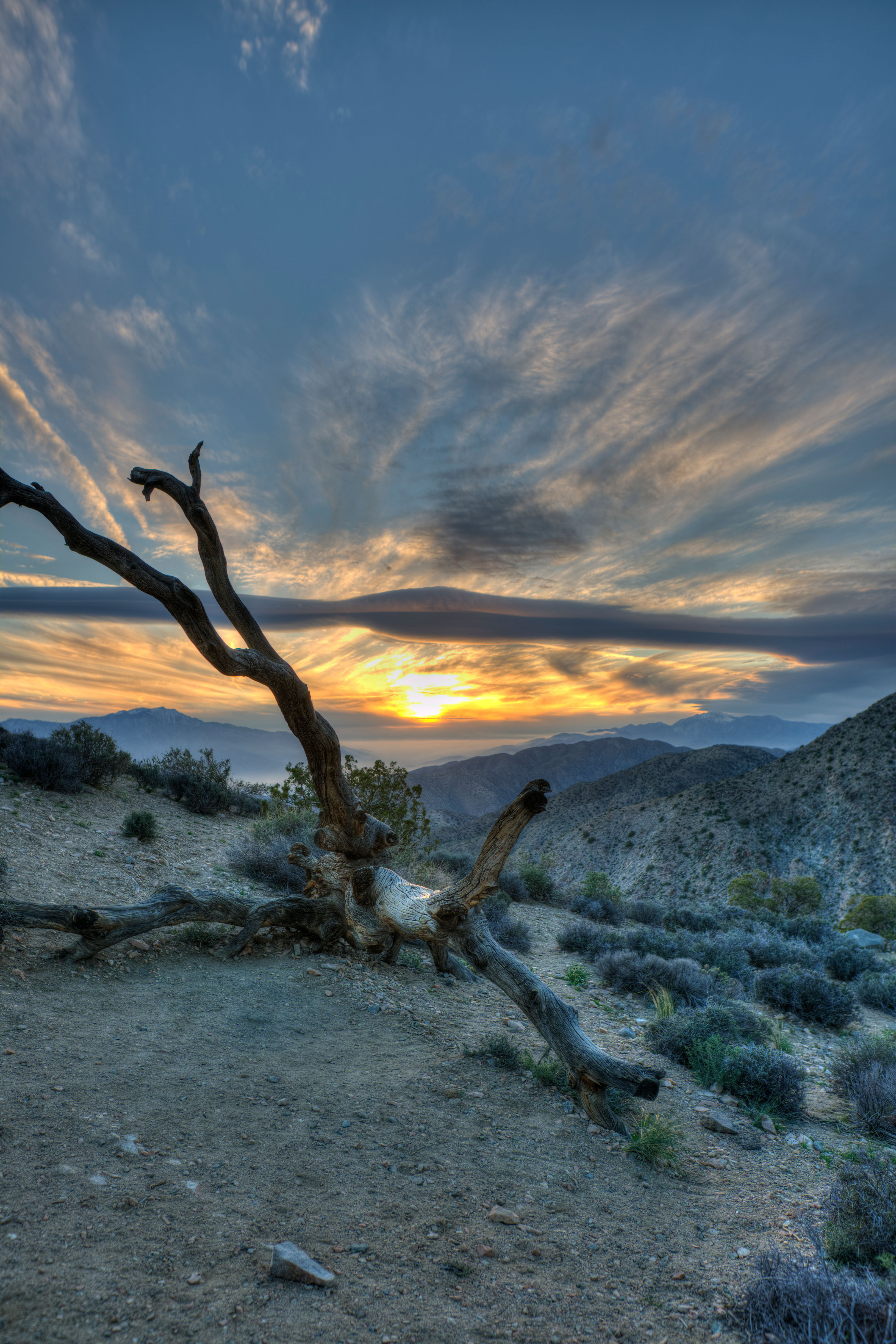Catch a Sunset at Keys View in Joshua Tree NP, Desert Hot Springs ...