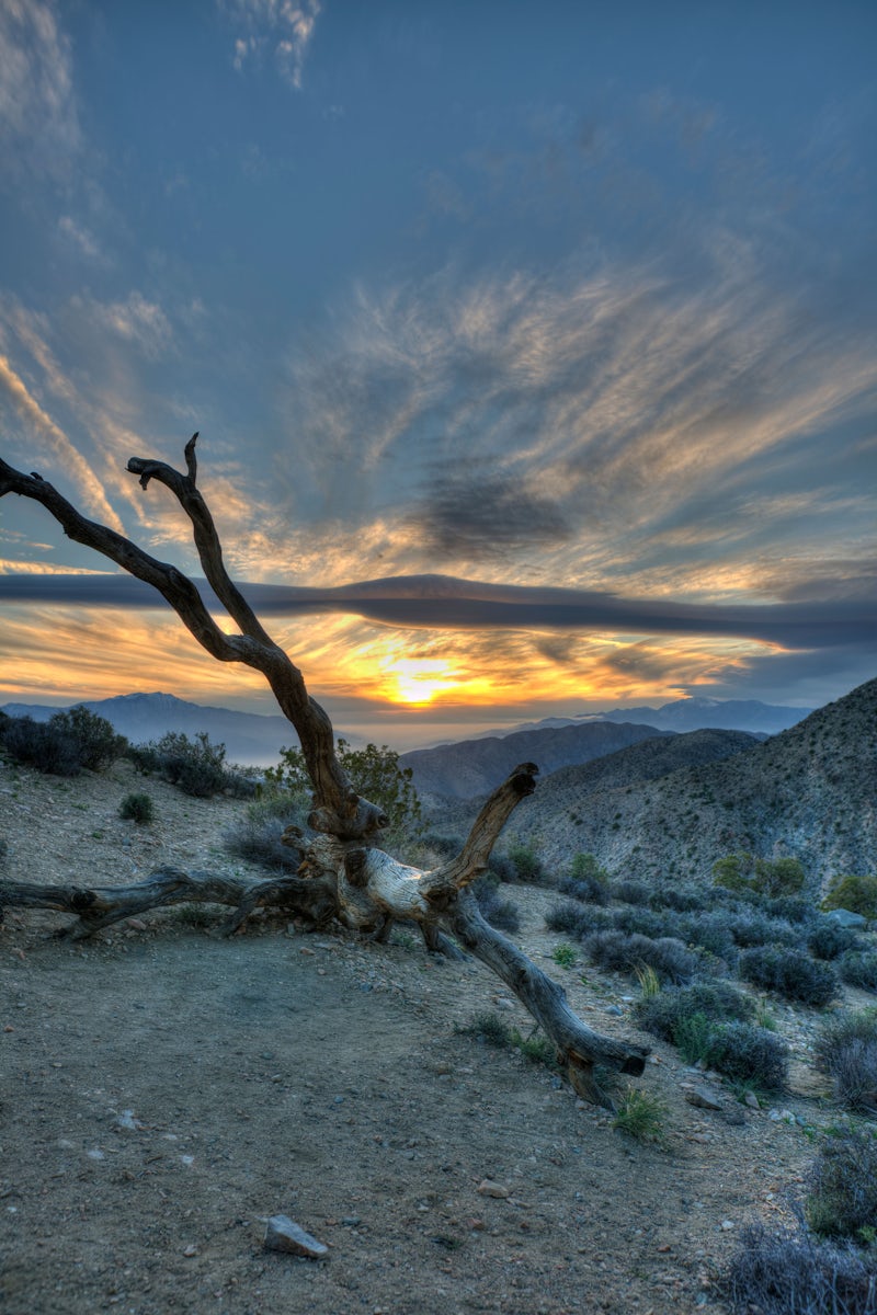 Photo of Catch a Sunset at Keys View in Joshua Tree NP