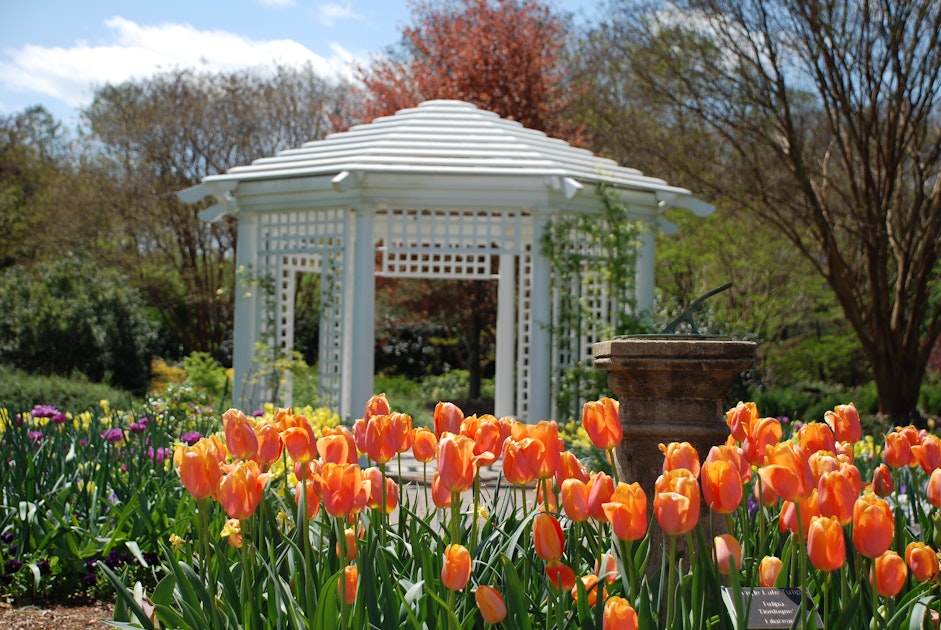 Visit Lewis Ginter Botanical Garden, Henrico, Virginia