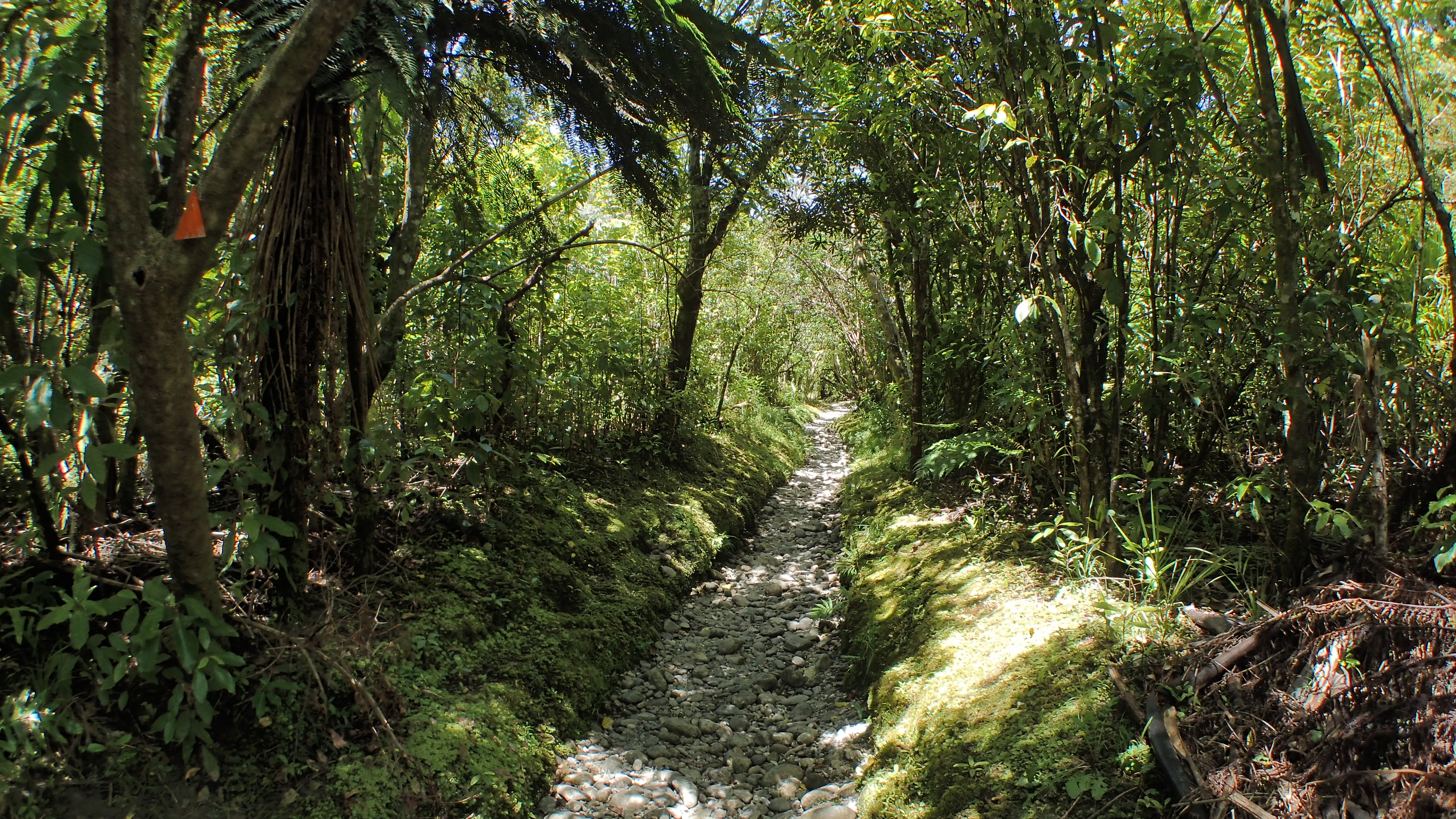 Hike to the Ballroom Overhang, Fox River, New Zealand