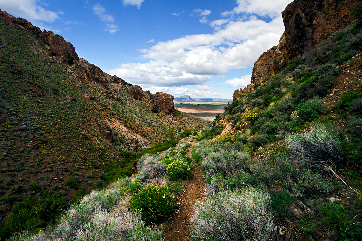 Hike Pike Creek Trail in the Steens Mountains, Princeton, Oregon