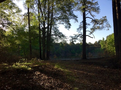 Hike the Four Notch Loop, Four Notch Hunter Camp