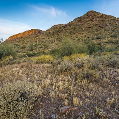 Hike the Go John Trail, Go John Trailhead