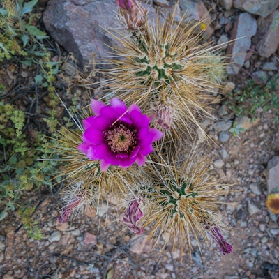 Hike the Go John Trail, Go John Trailhead