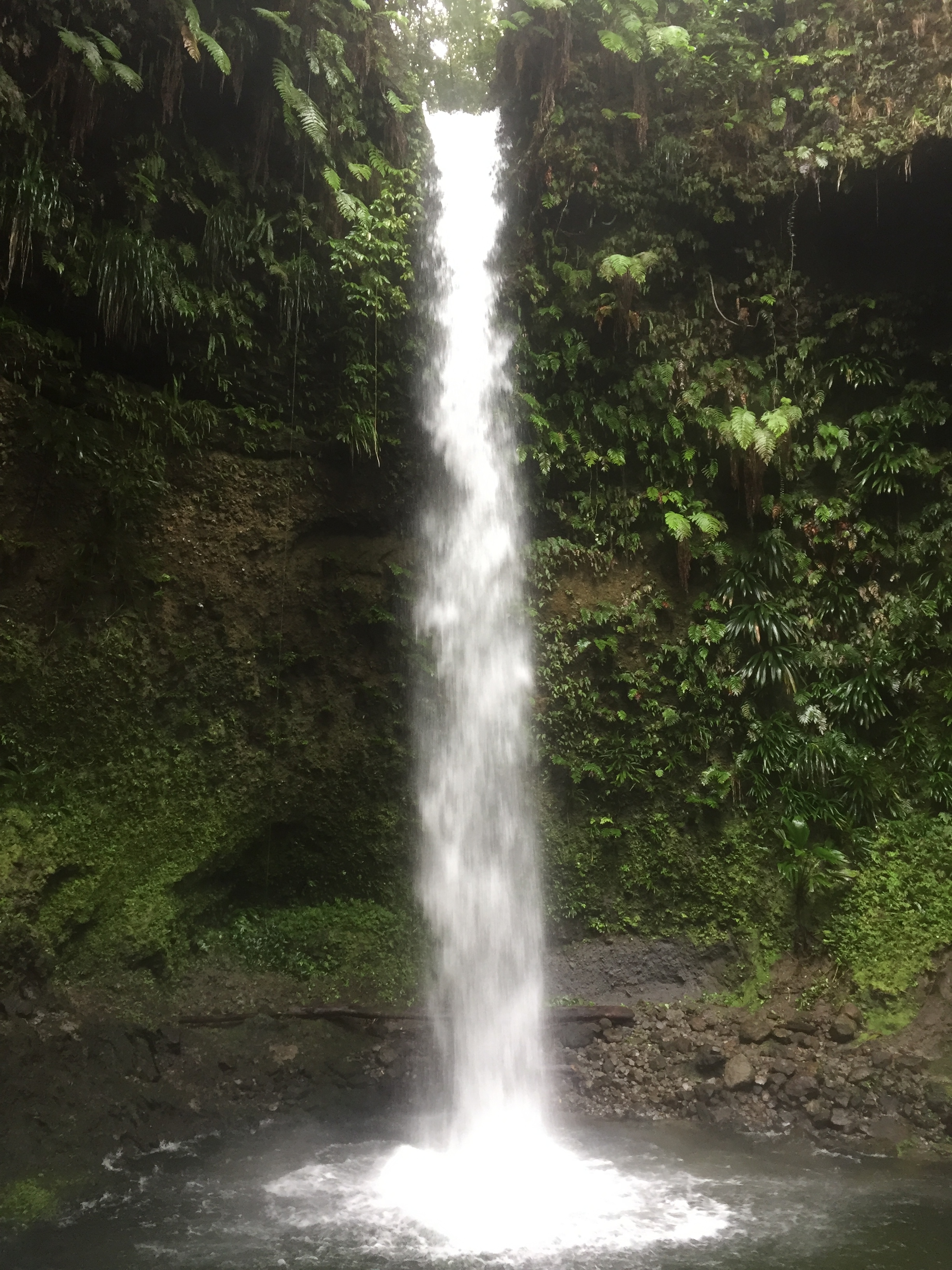 Hike to Spanny Falls, Doctor Nicholas Liverpool Highway, Dominica
