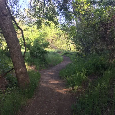 Hike the Yahi Trail in Upper Bidwell Park, Upper Bidwell Parking Area E