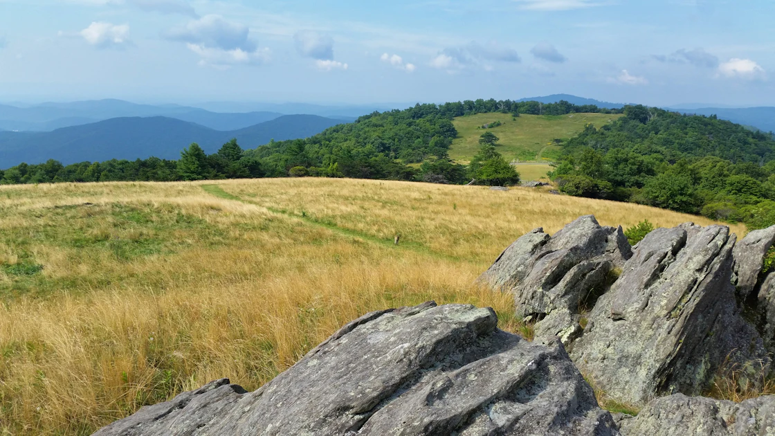 Hike the Bluff Mountain Trail, Doughton Park