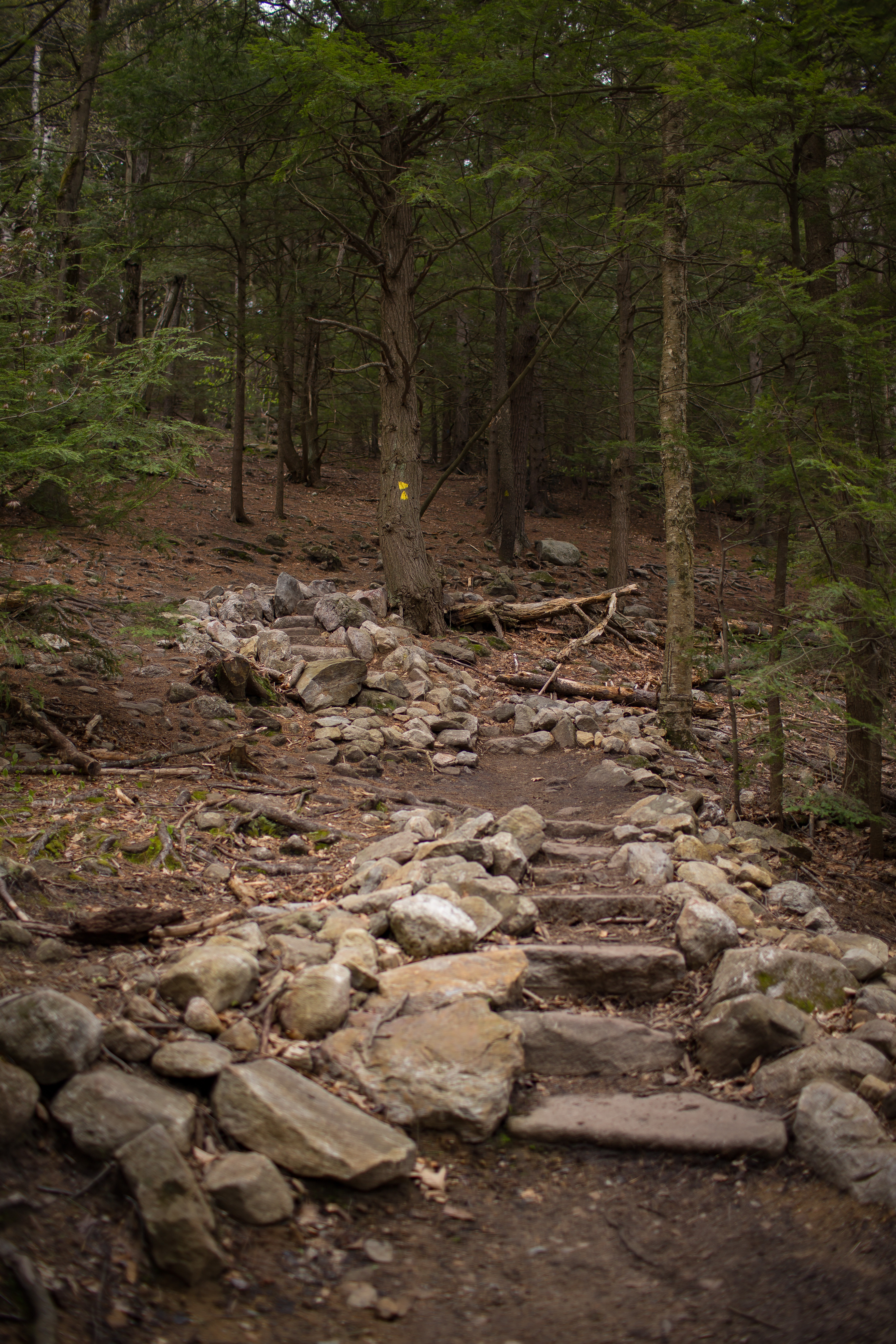 Photos: Summit Mount Watatic via the Wapack Trail, Ashburnham ...