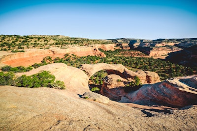 Hike the Rattlesnake Arches Trail in Black Ridge Wilderness ...