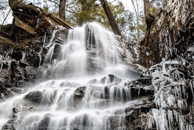 Hike to Angel Falls in Loyalsock State Forest, Ogdonia Road Parking