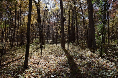 Hike the Red River Trail , Red River Trail
