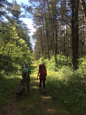 Backpack the Yellow Trail at Sand Ridge State Forest, Sand Ridge State ...
