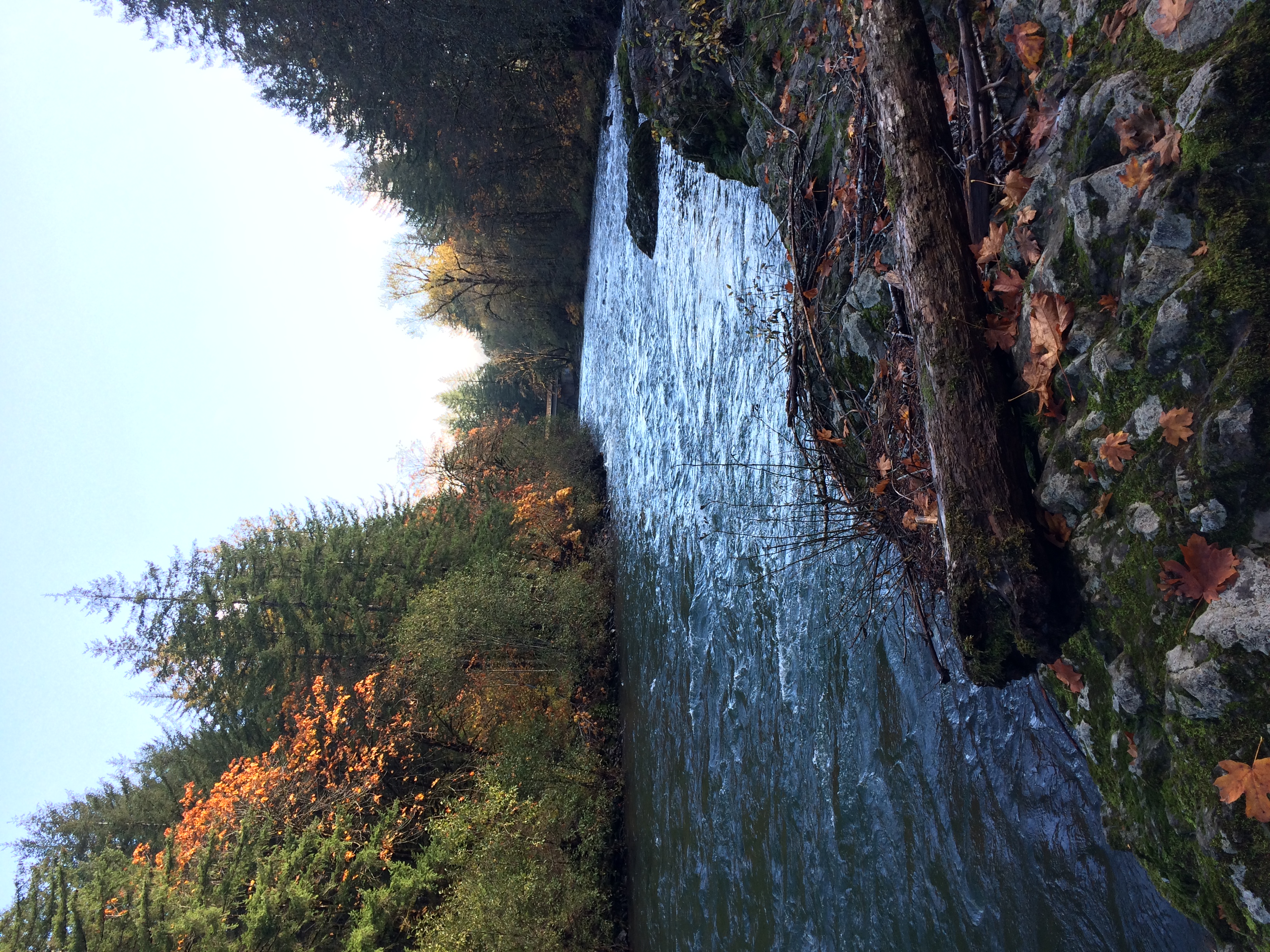 Fly Fish the Wilson River in Oregon, Tillamook, Oregon