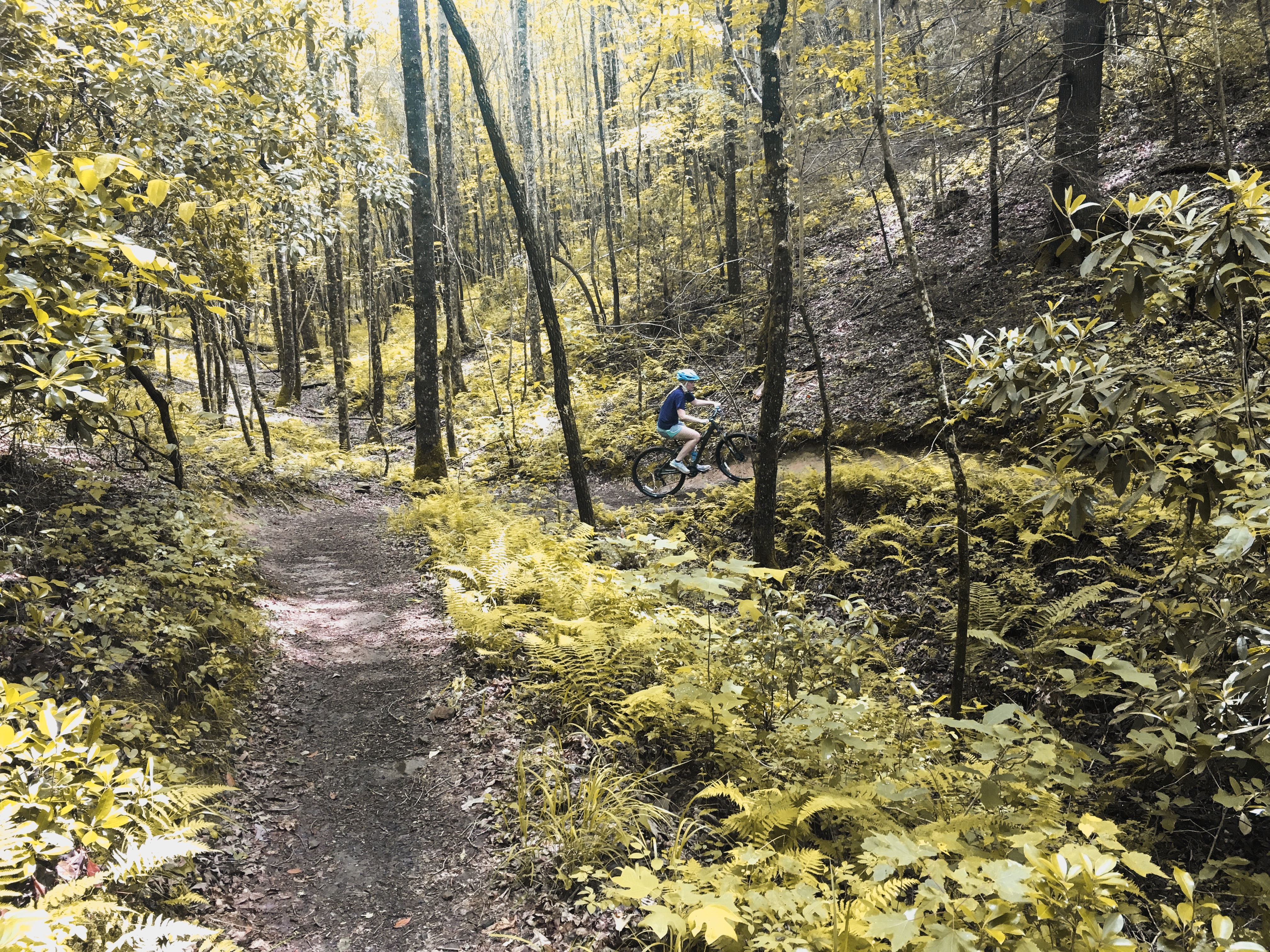 Mountain Bike the Brush Creek Trail (Tanasi Trail System), Turtletown ...