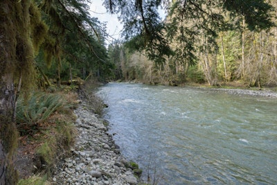 Hike the Staircase Rapids Loop , Staircase Ranger Station