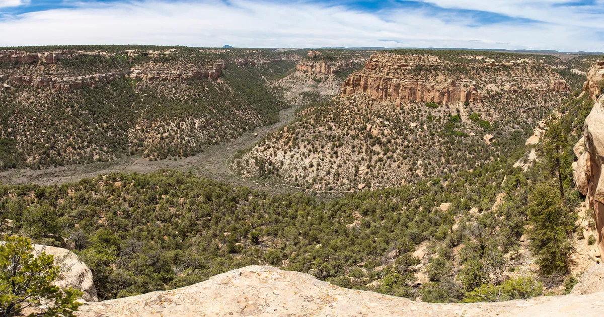 Explore Mesa Top Loop, Mesa Top Loop Road