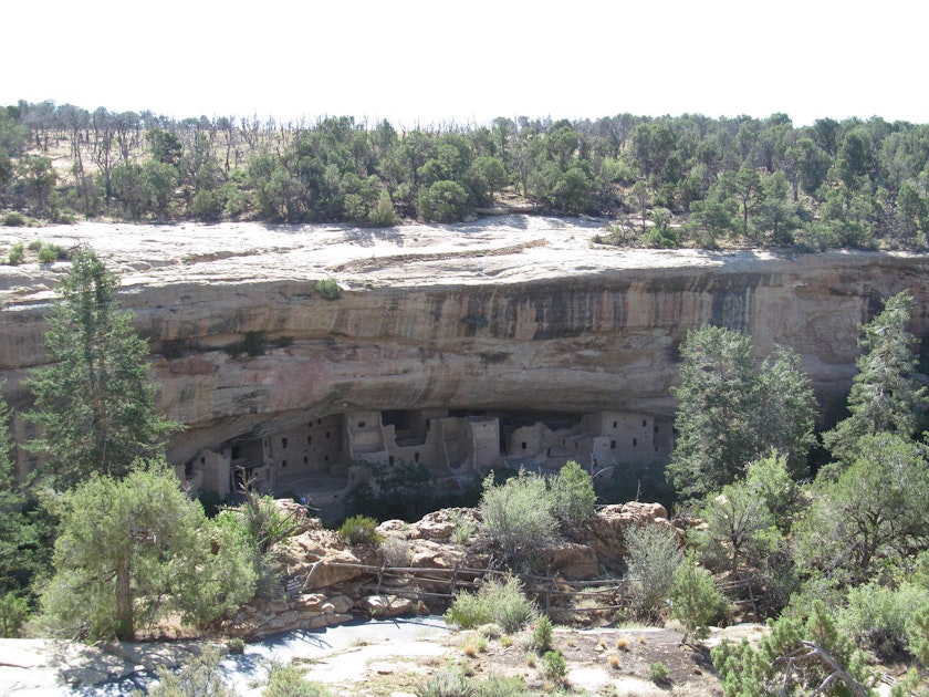 Explore Mesa Top Loop, Mesa Top Loop Road