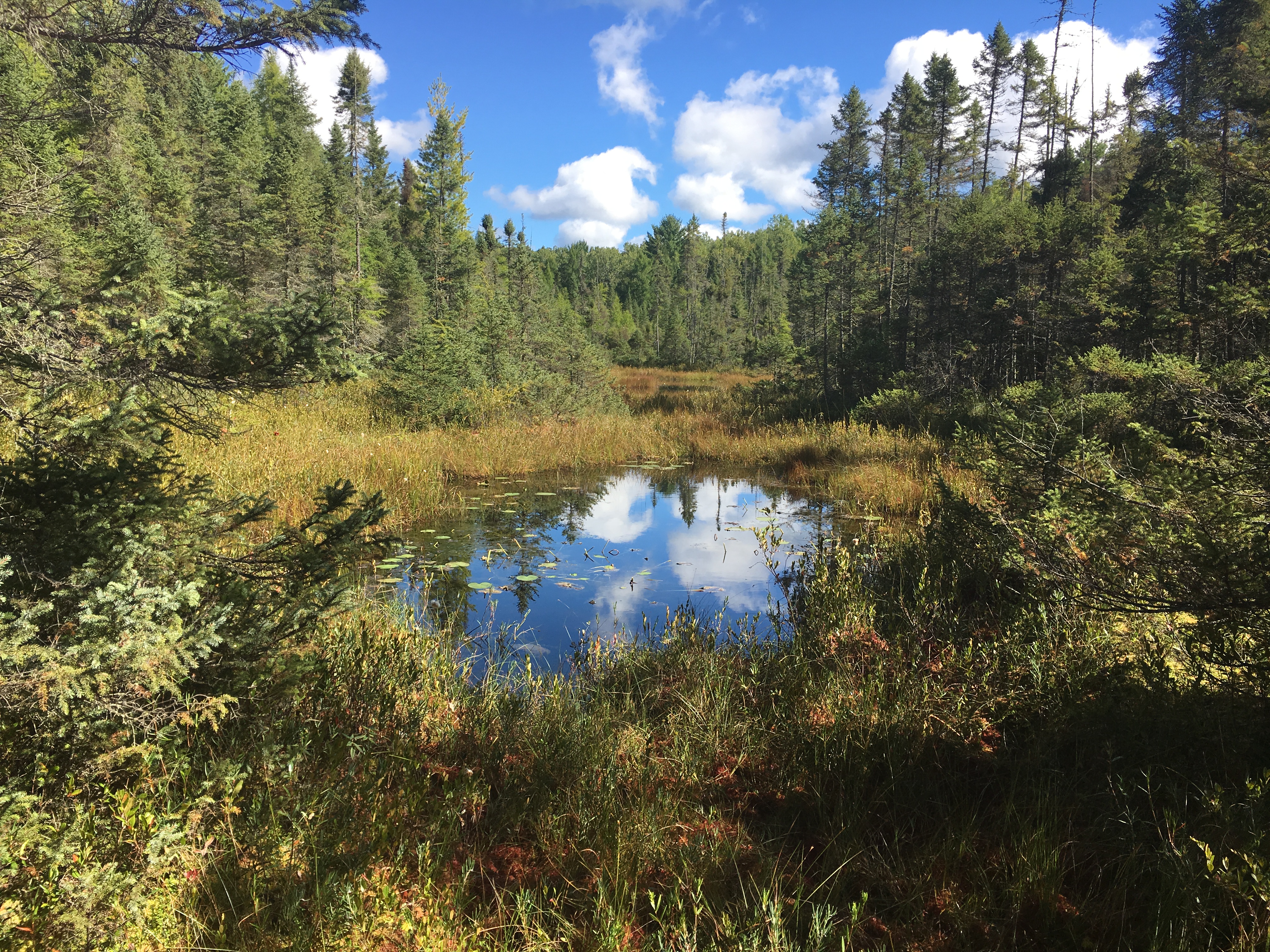 Hike or Bike the NHAL Raven Trails, Woodruff, Wisconsin
