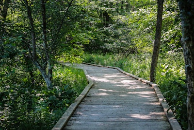 Hike Limberlost Trail in Shenandoah National Park, Limberlost Trail ...