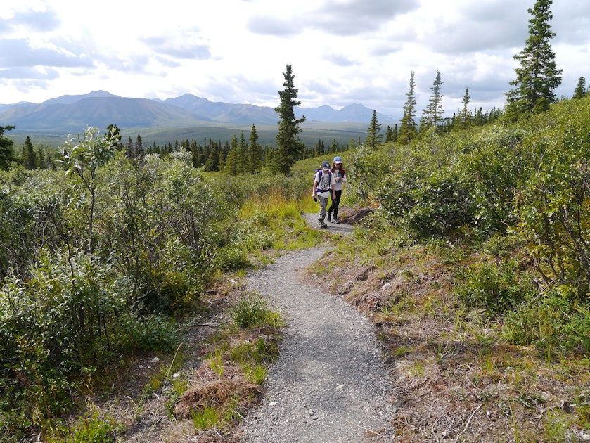 Hike the Taiga Trail , Taiga Trail