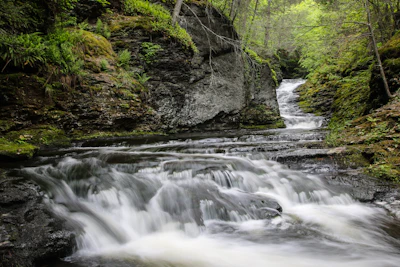 Hike to Indian Ladder Falls Along Hornbecks Creek, Emery Rd Pull-Off