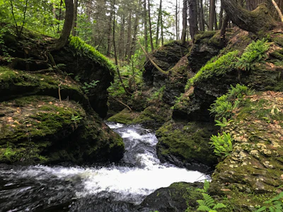 Hike to Indian Ladder Falls Along Hornbecks Creek, Emery Rd Pull-Off