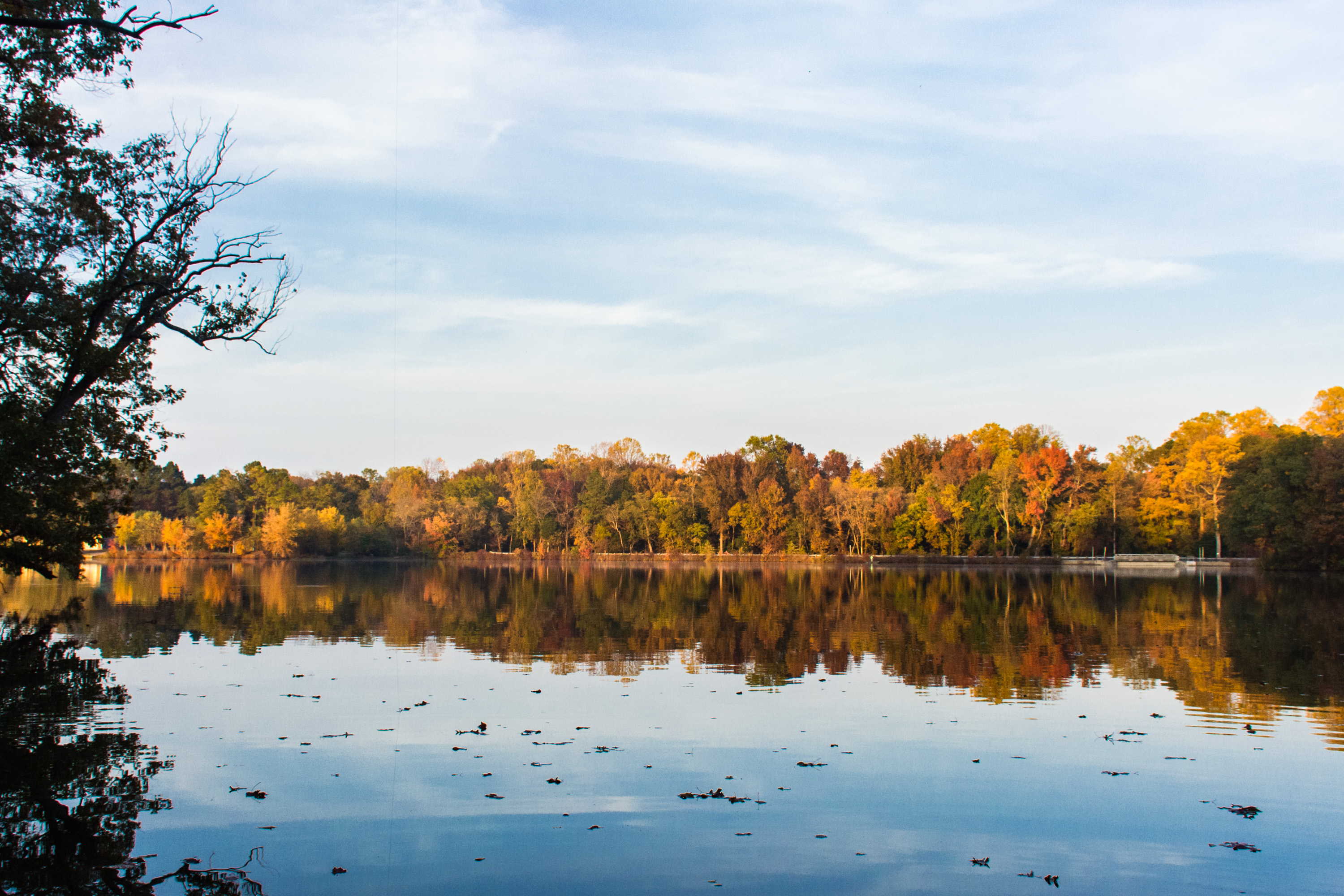 Camp at Killens Pond State Park, Harrington, Delaware