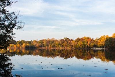 Camp at Killens Pond State Park, Killens Pond State Park Campground