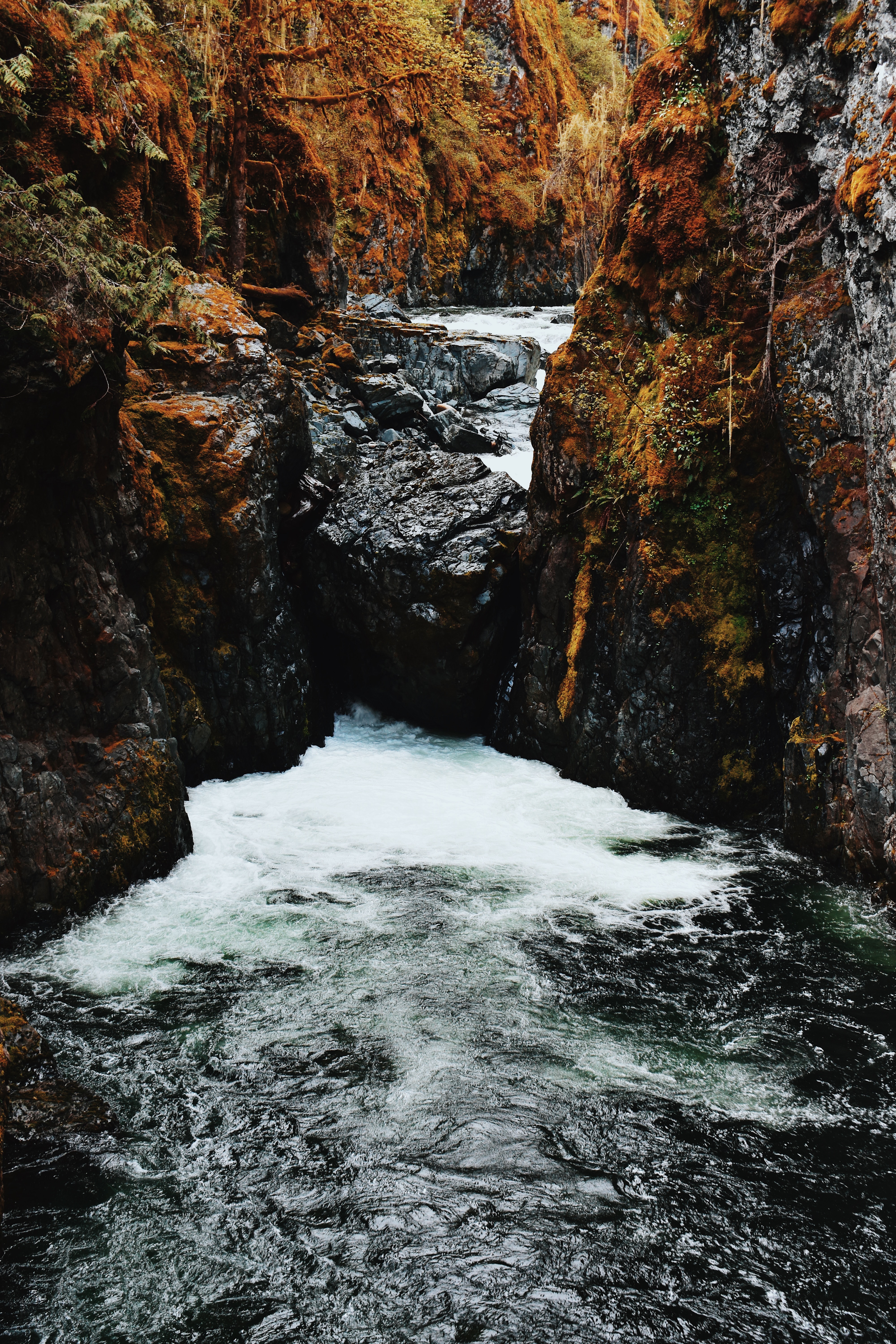 Hike to BC's Englishman River Falls , Errington, British Columbia