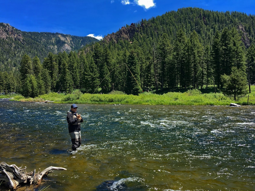 Fly Fish the Madison River (Hebgen Lake to Earthquake Lake), West ...