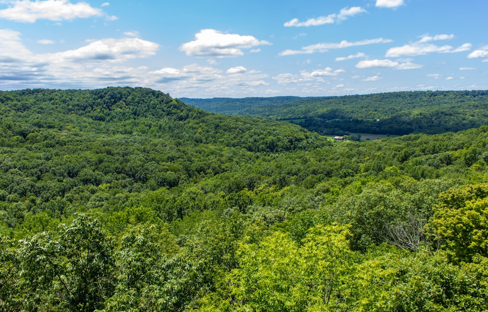Hike the Buzzard Roost Trail, Buzzard Roost Trailhead