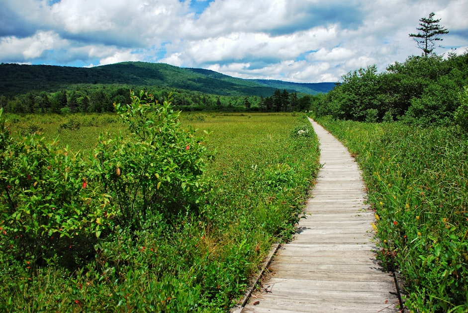 Walk Around the Cranberry Glades, Monongahela NF, Hillsboro, West Virginia