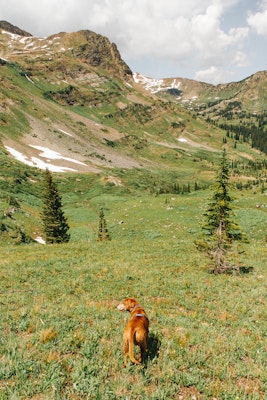 Hike to Blue Lake, Crested Butte, CO, Oh Be Joyful Campground