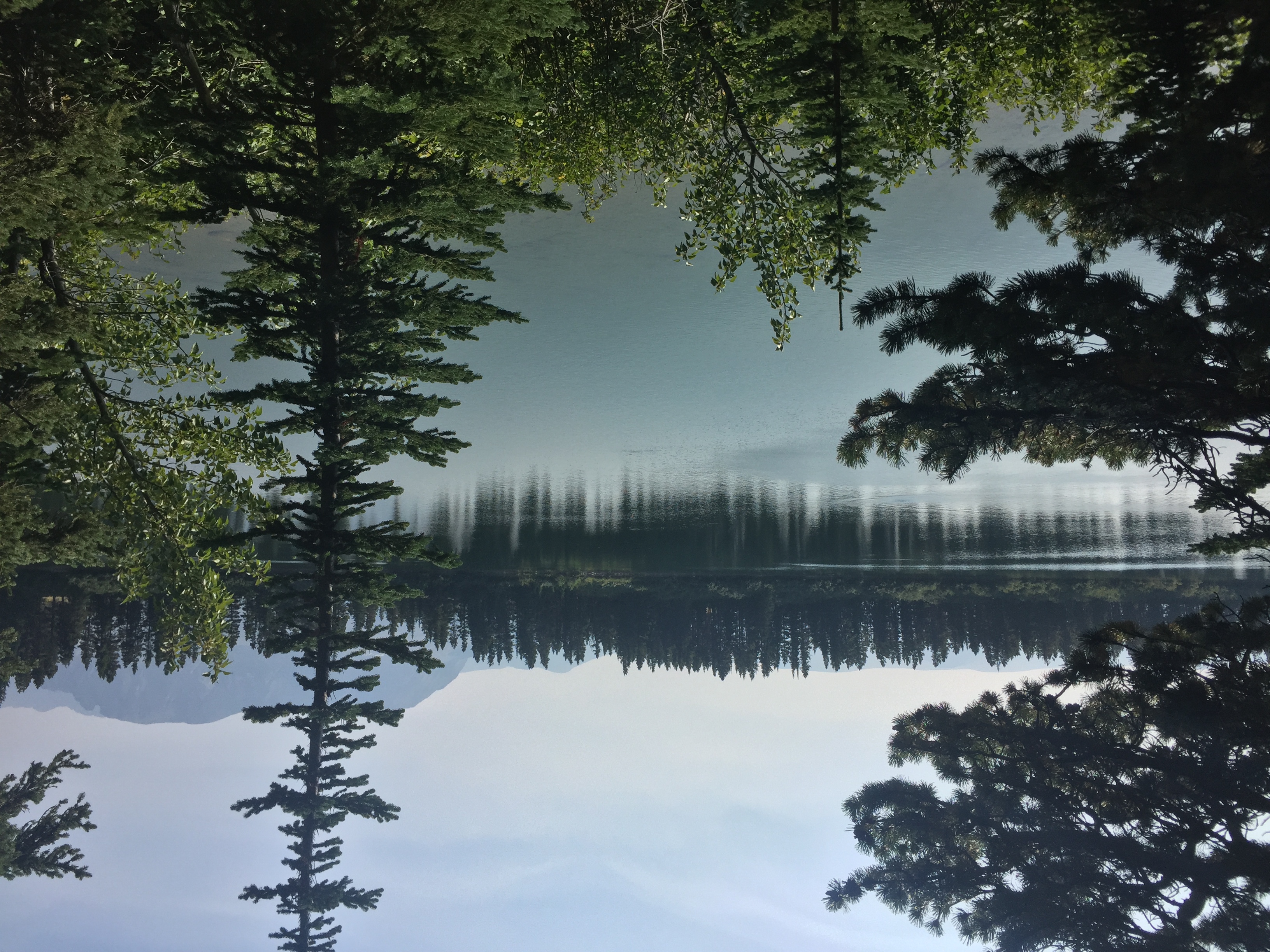 Photo of Backpack to Poia Lake, Glacier NP