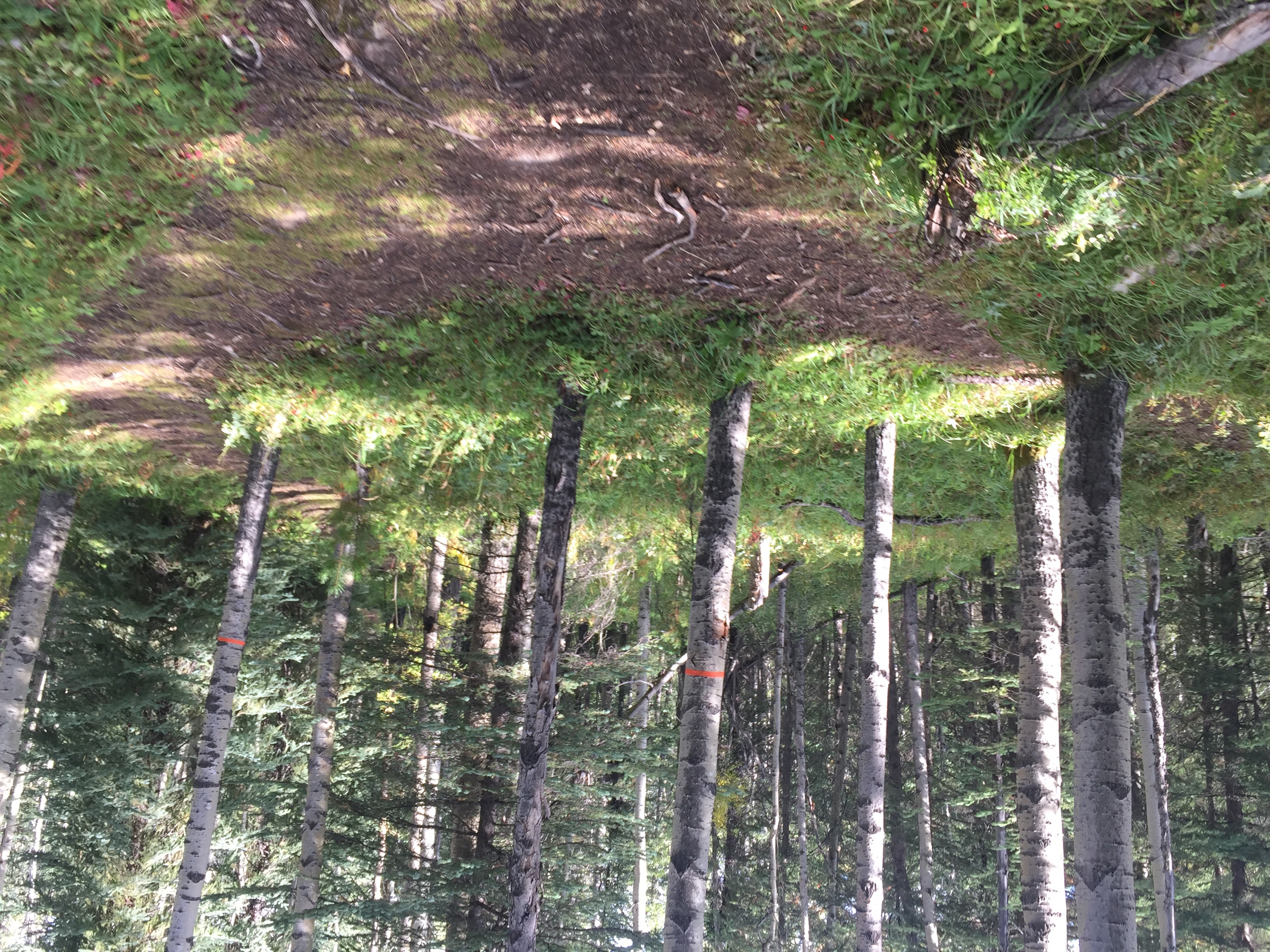 Photos: Hike to Muskeg Falls in Grande Cache, Greenview No. 16, Alberta