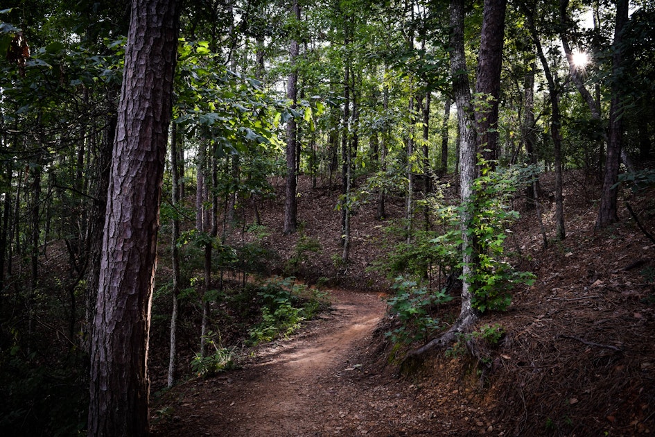Trail Run the Lake Trail at Oak Mountain State Park, Pelham, Alabama