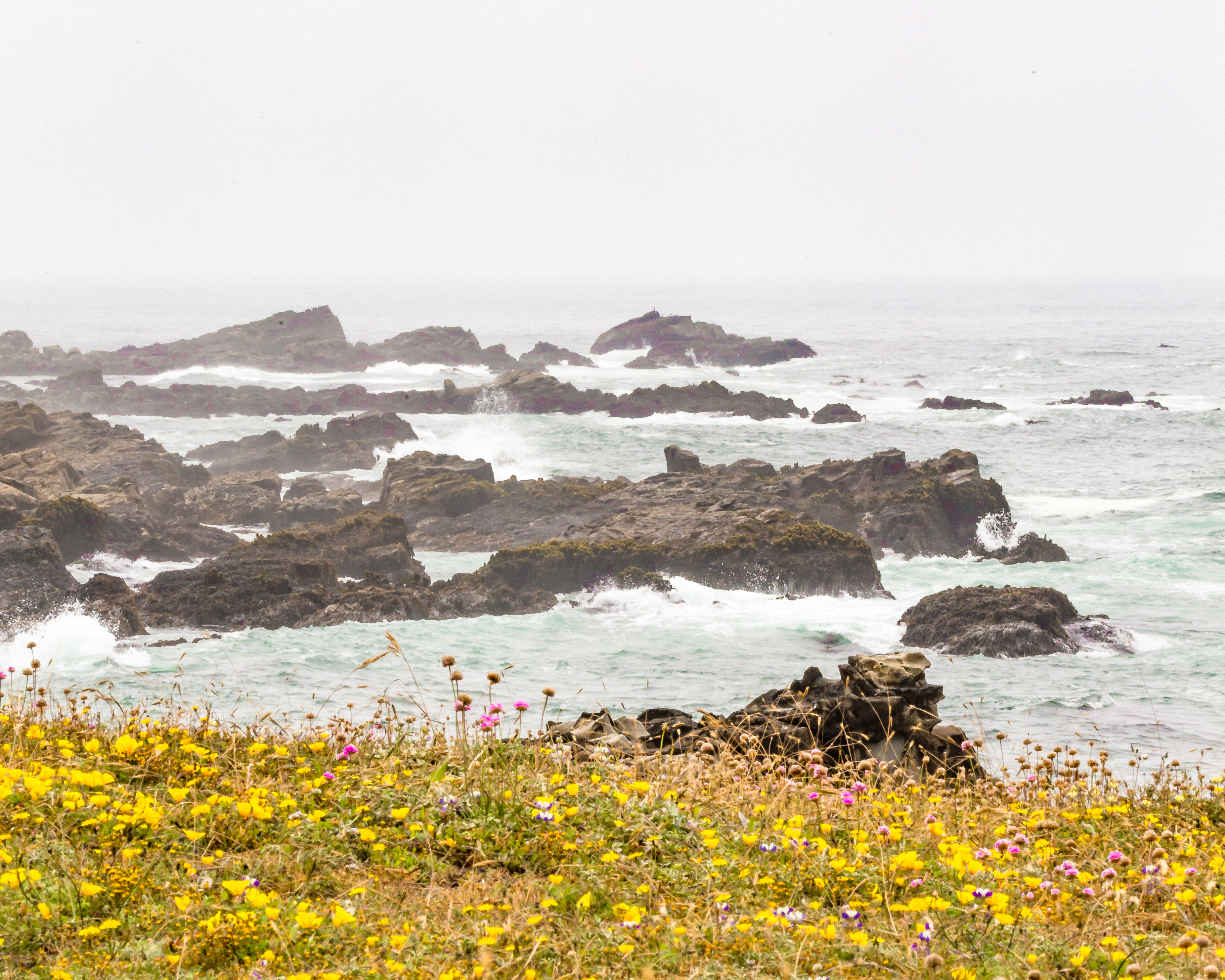 Salt Point Trail: Gerstle Cove to Stump Beach, Jenner, California