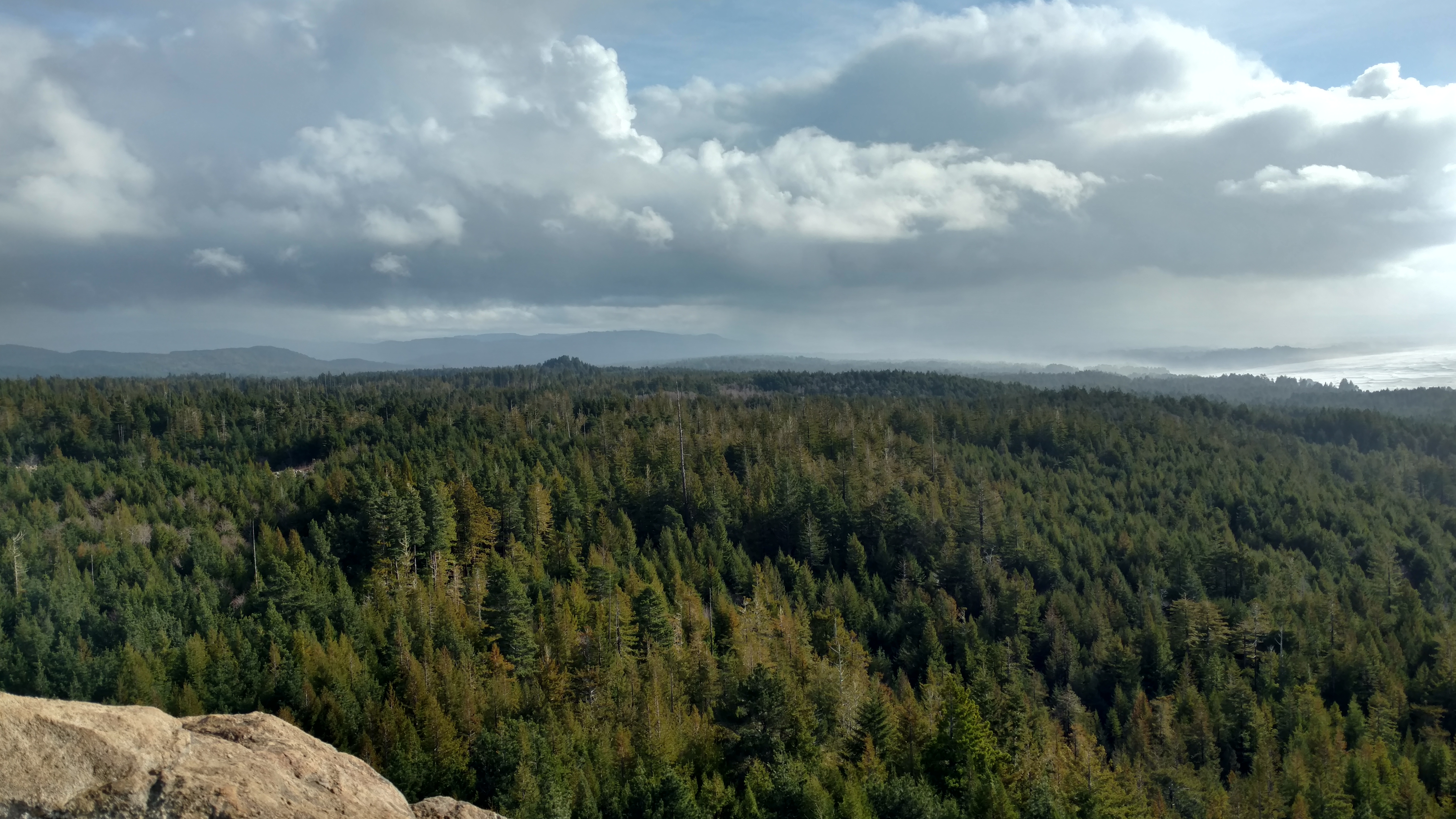 Strawberry Rock Trail, Trinidad, California