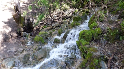 Hike the Waterfalls of Mount Diablo Loop Trail , Waterfalls of Mount ...