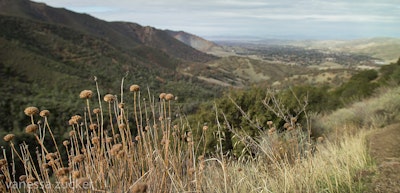Hike the Waterfalls of Mount Diablo Loop Trail , Waterfalls of Mount ...
