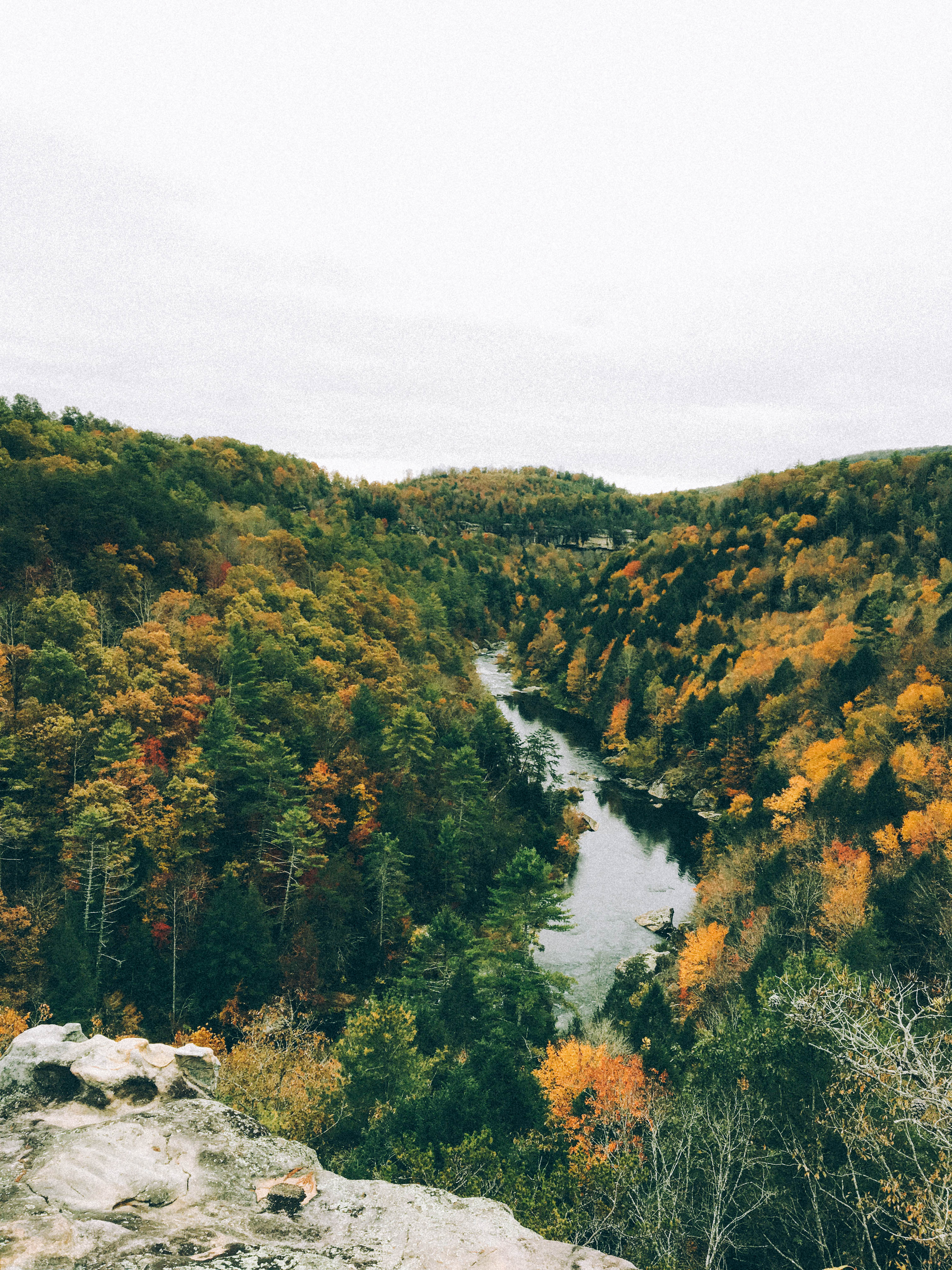 Photo of Lilly Bluff Overlook