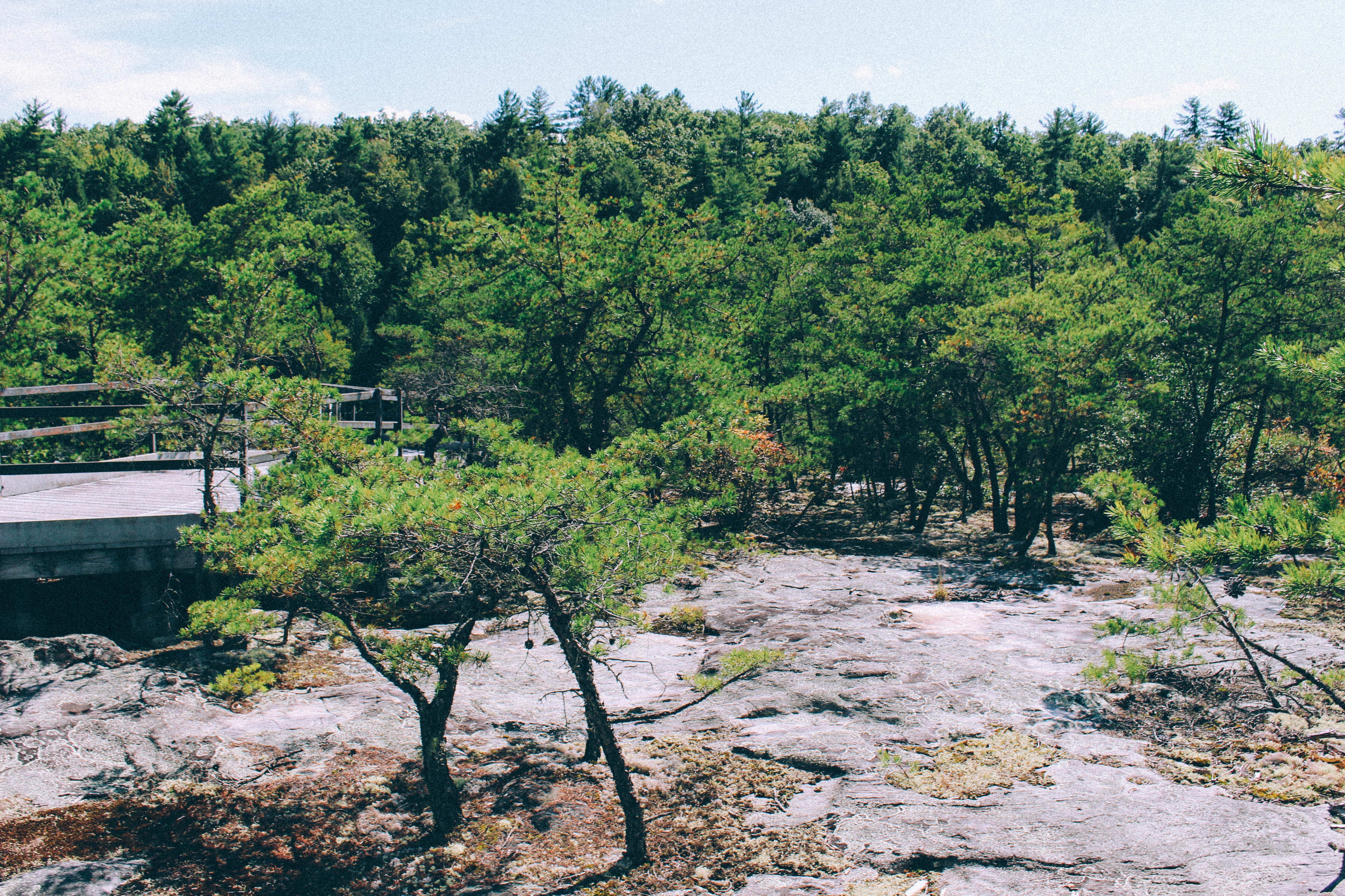 Photo of Hike to the Lilly Bluff Overlook