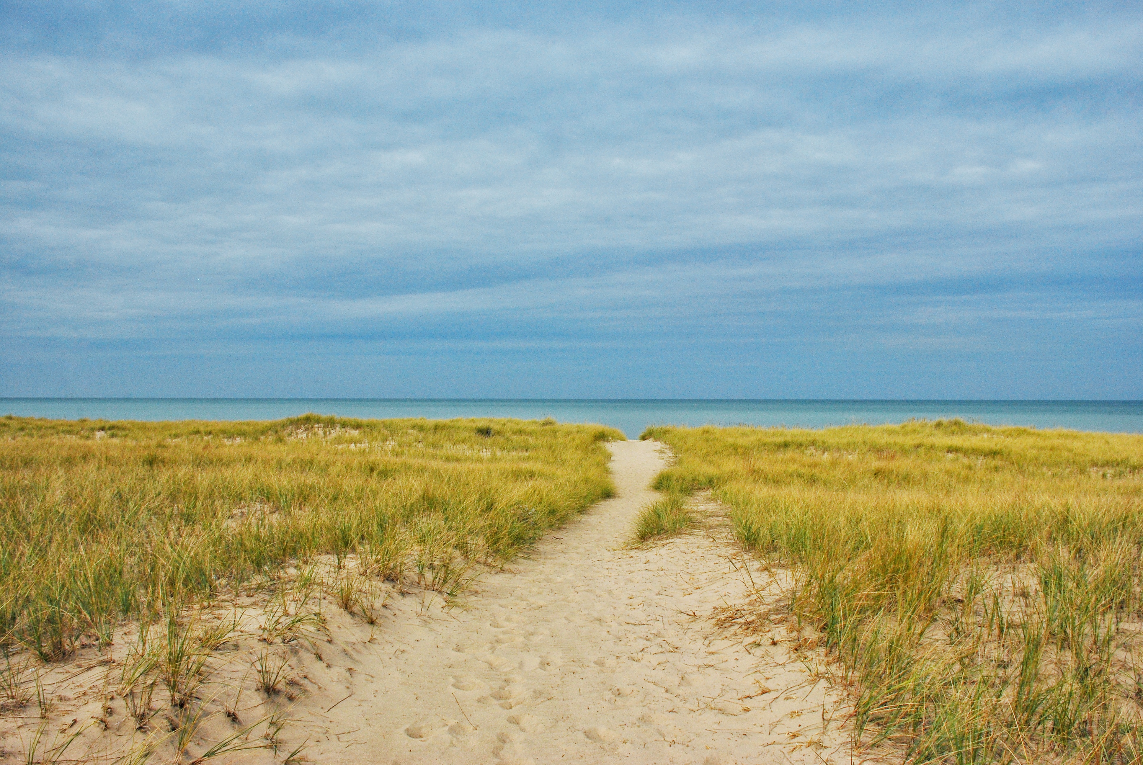 Photos: Hike the Cowles Bog Trail, Indiana Dunes National Lakeshore ...