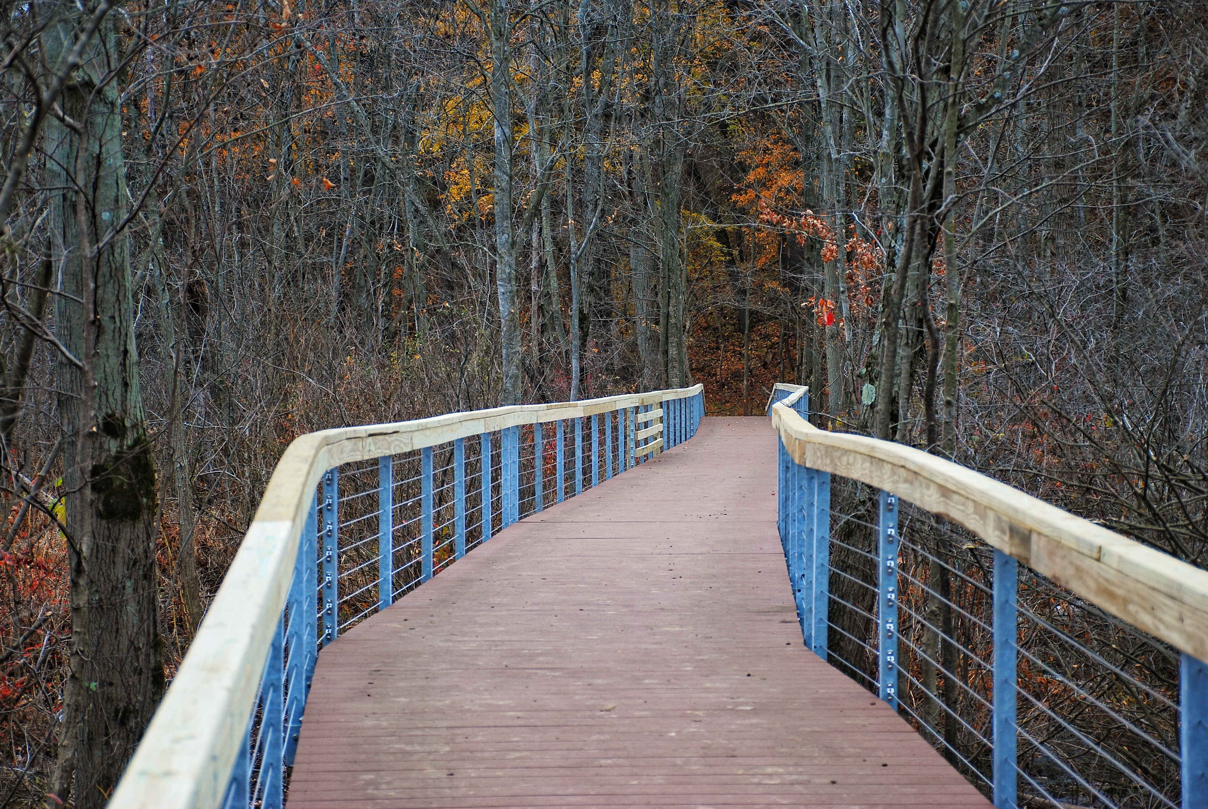 Photos: Hike the Cowles Bog Trail, Indiana Dunes National Lakeshore ...