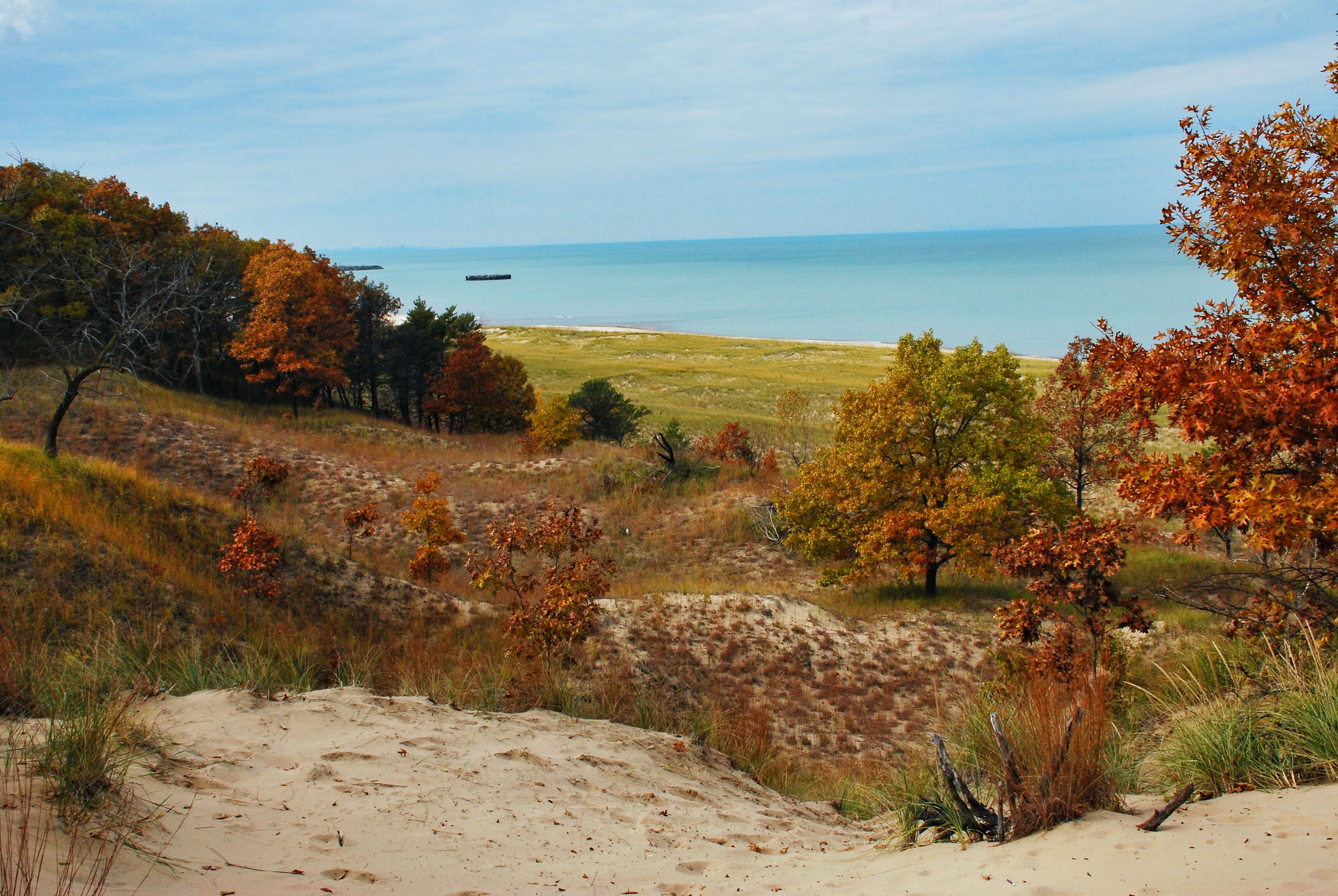 Photos: Hike the Cowles Bog Trail, Indiana Dunes National Lakeshore ...