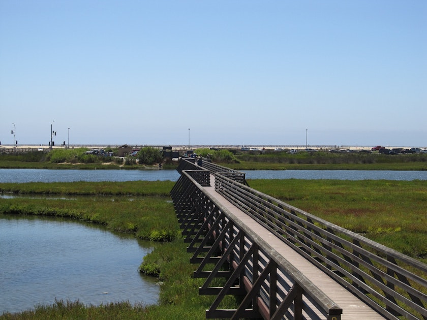 Explore Bolsa Chica Ecological Reserve, Warner Avenue